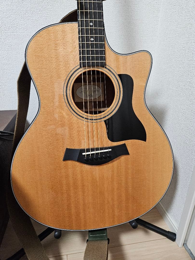 Taylor 316ce アコースティックギター