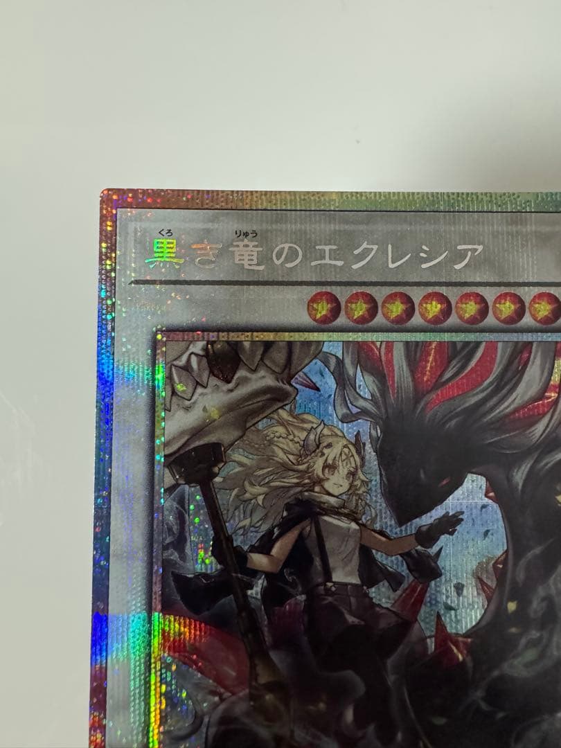 遊戯王OCG 白き竜の聖騎士 & 黒き竜のエクレシア　プリズマ