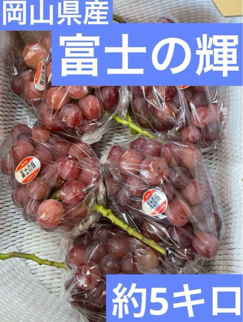 ⑩【岡山県産】富士の輝　約5キロ