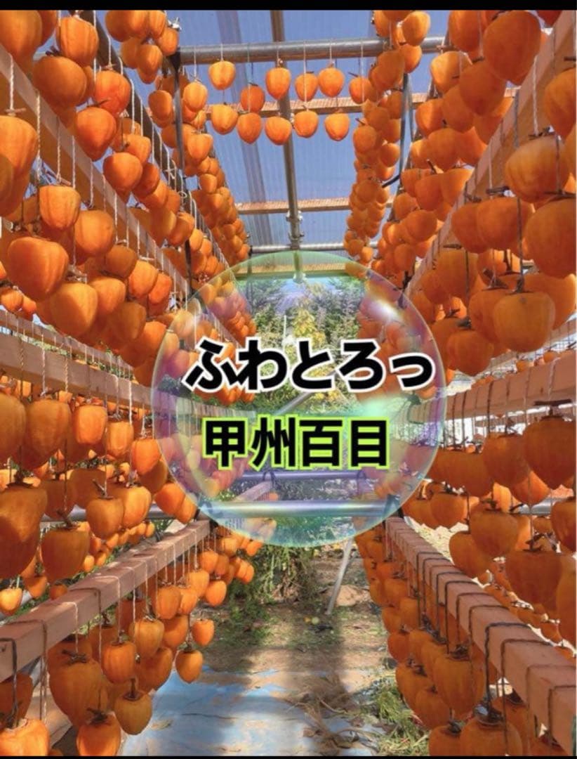 限定5セット★Xmasセール★甲州百目柿枯露柿 9個と12個入✖️2箱 計3箱