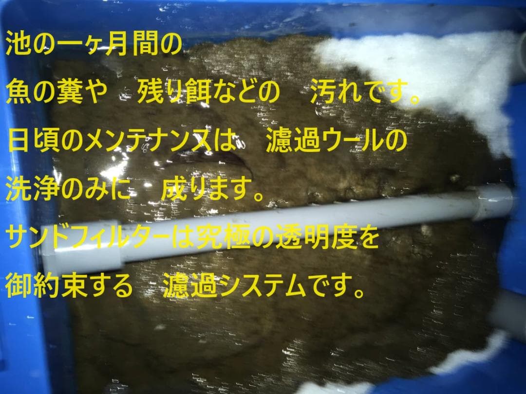 ウォータークリーナー大きな亀対応　サンドフィルター　ミニS　濾過砂　モーター付き