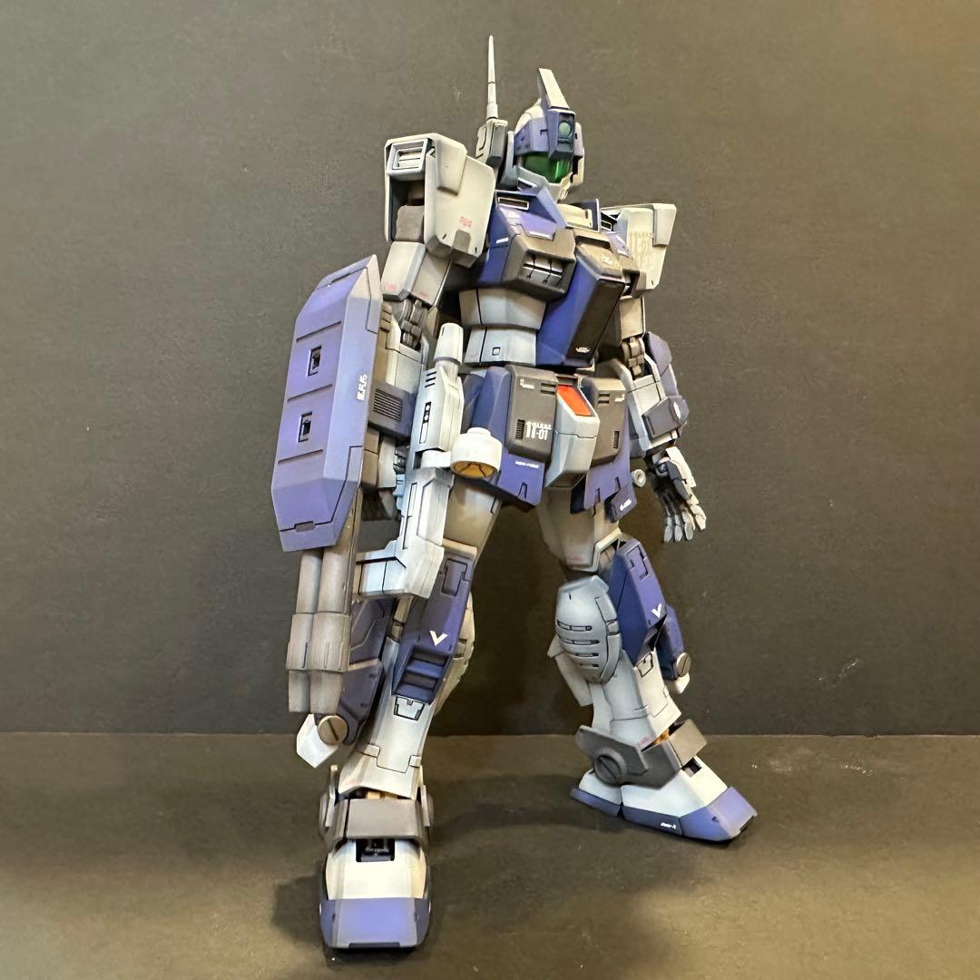 MG 1/100ジム・ドミナンス 塗装完成品