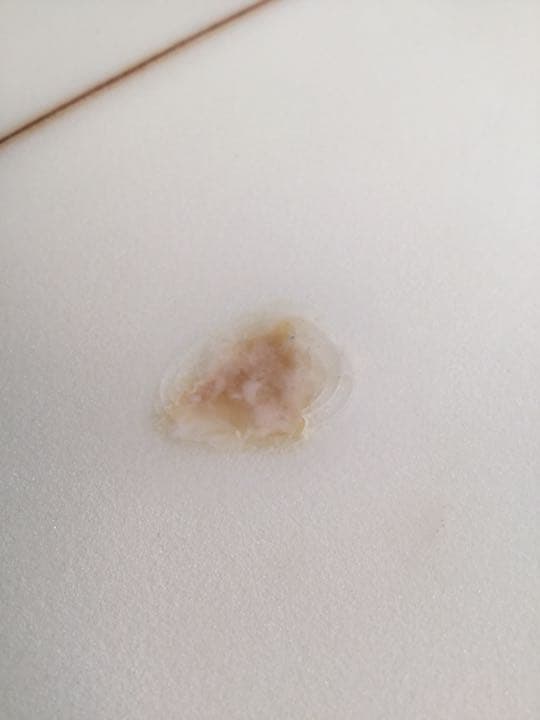 COLE 5.6サーフボード 中古品