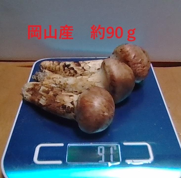 松茸　約90g
