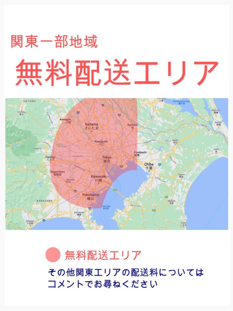 2020 ギュットクルーム 子供乗せ電動アシスト自転車 H3139