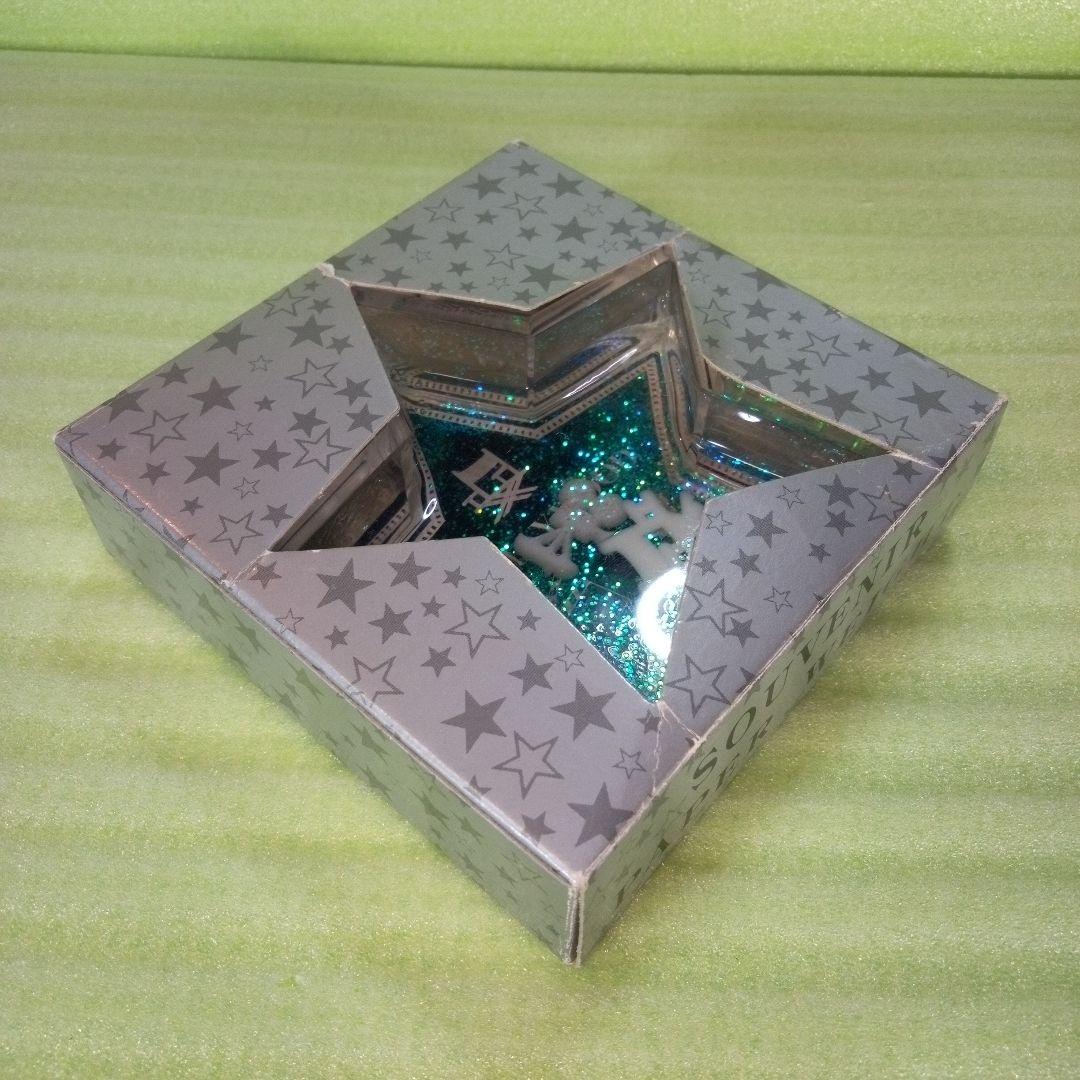 SOUVENIR PAPER WEIGHT　HOLLY WOOD　星形　星型