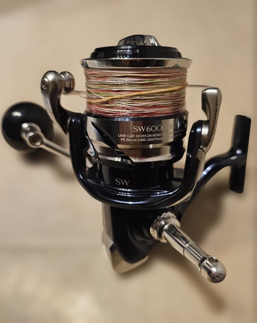 SHIMANO ツインパワー SW 6000 HG