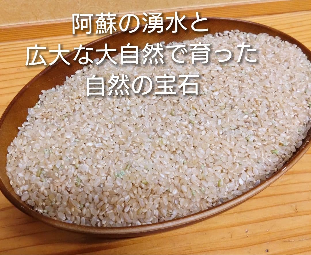1 令和7年 自然栽培米 亀の尾20kg精米