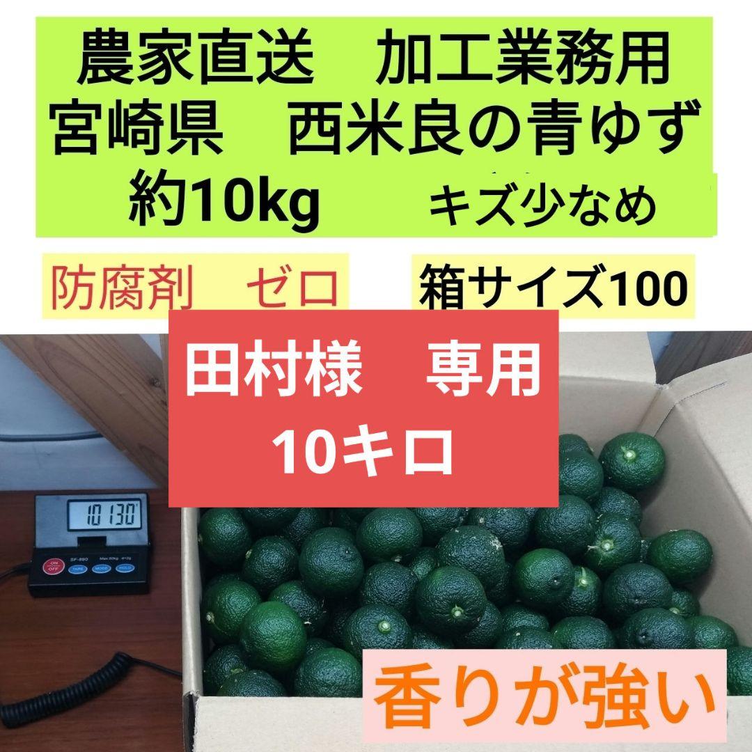 農家直送　宮崎県　西米良の青ゆず　キズ少なめ　約10kg
