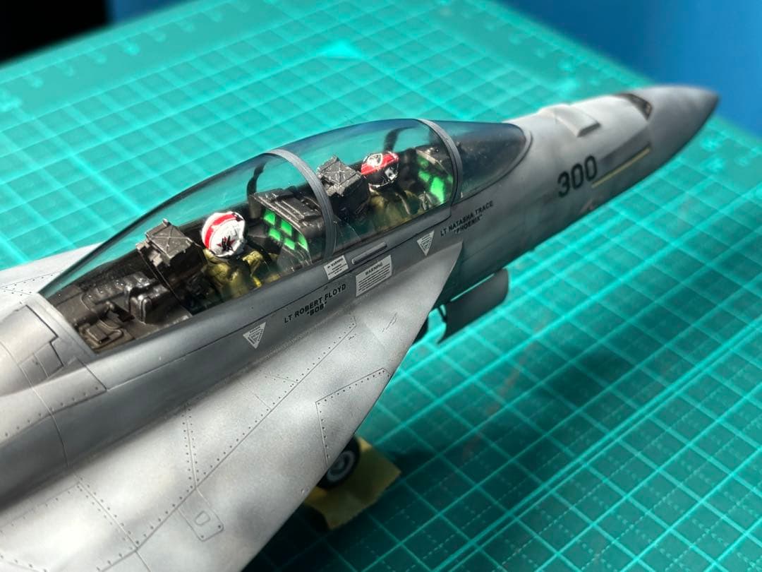 戦闘機　プラモデル　完成品　ハセガワ　1/48 F/A-18F