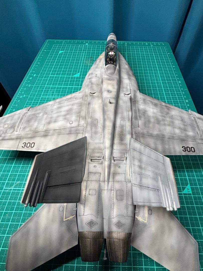 戦闘機　プラモデル　完成品　ハセガワ　1/48 F/A-18F
