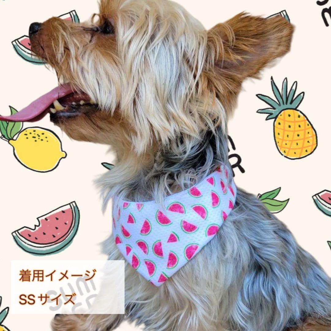 犬ネコ用リバーシブルバンダナ★着用イメージ写真★