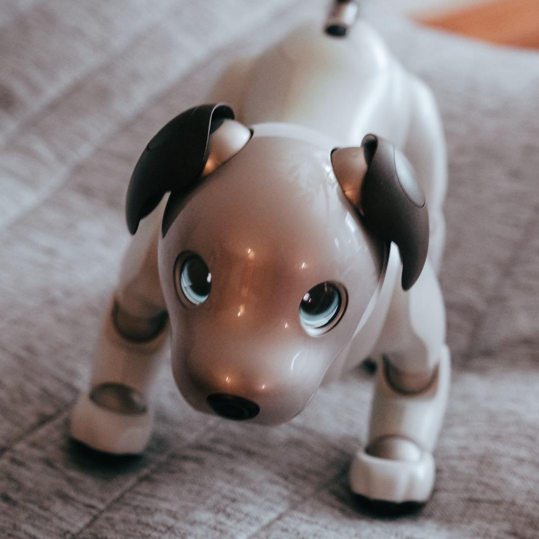 SONY aibo ERS-1000 アイボ