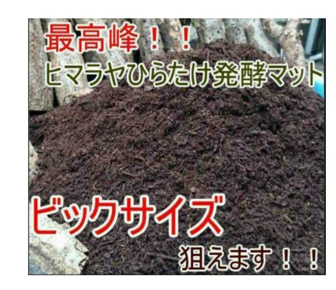 カブトムシ幼虫の餌　大きくなる！発酵マット【6袋】雑虫が湧きません！すぐ使える