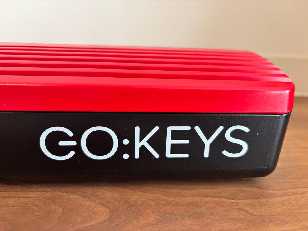 【美品・専用ケース付】Roland GO:KEY キーボード　GO-61K
