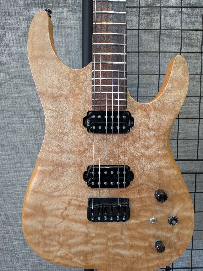 ギター Dragonfly Sottile 666 custom