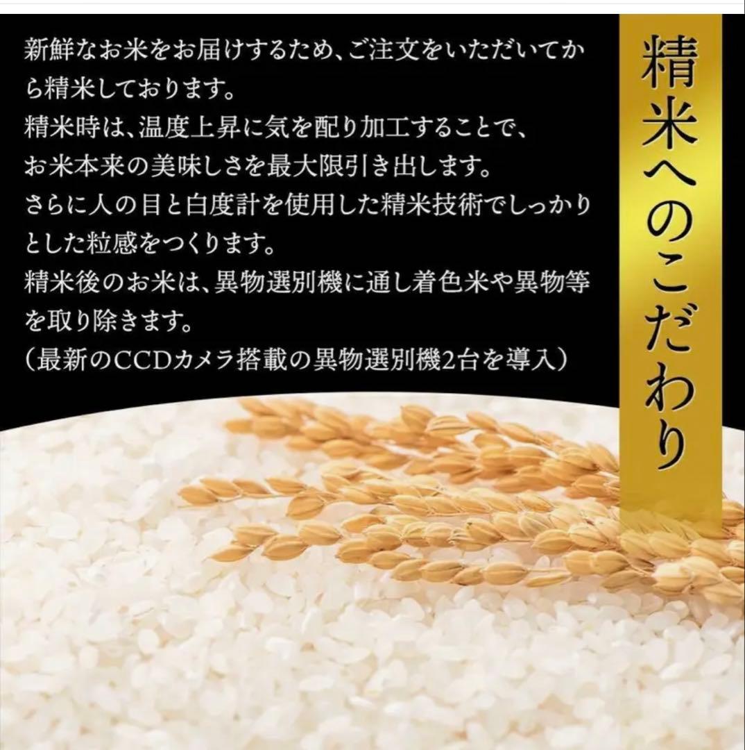 つや姫 精米 5kg×2 山形県産 令和7年度新米