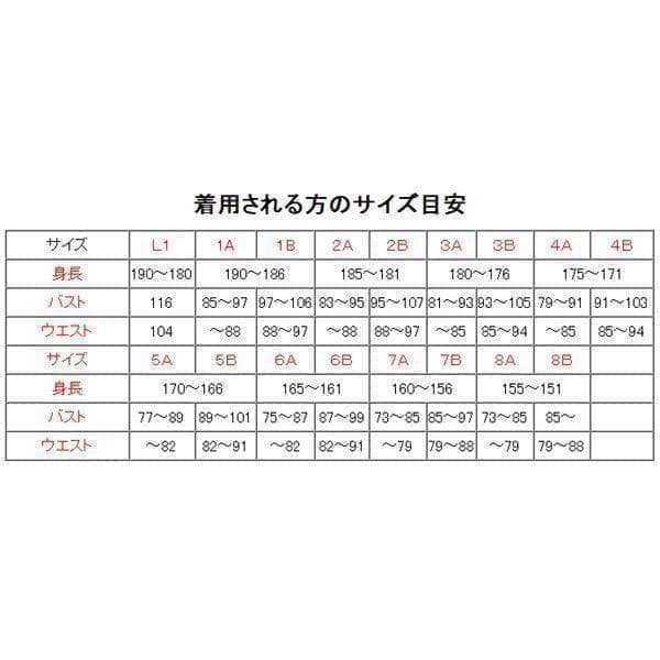 陸上自衛隊 リップストップ 迷彩服 Ｌ１×２