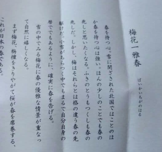 茶道具 掛軸 大徳寺 管長 高田明浦 嶺雲 老師 一行 梅花一雅春 共箱 禅語