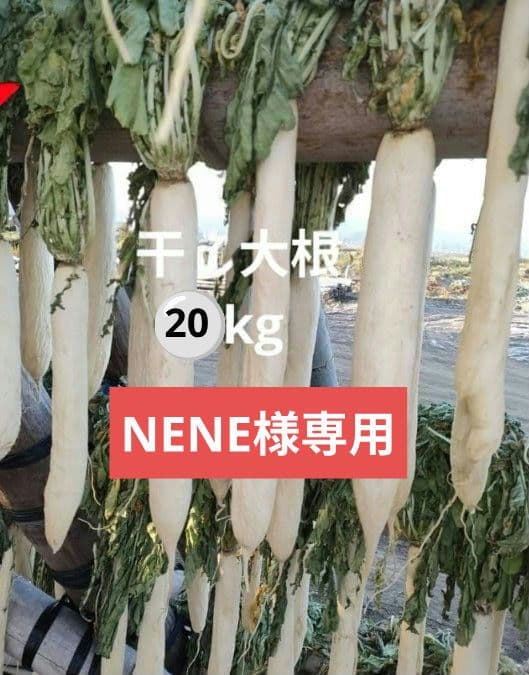 干し大根　　NENE