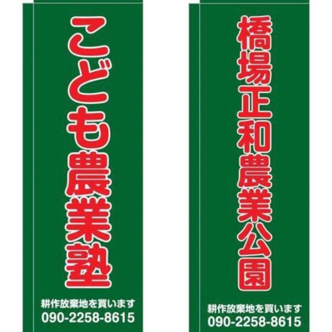 こころの風景コレクション【桜井陽彦　北野通り】購入金額より60％お値引き！！