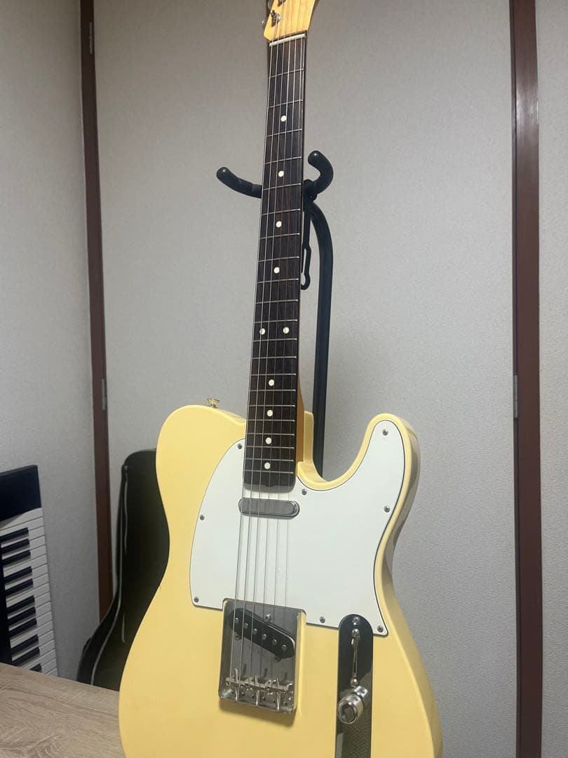 Fender Telecaster (ソフトケース付)