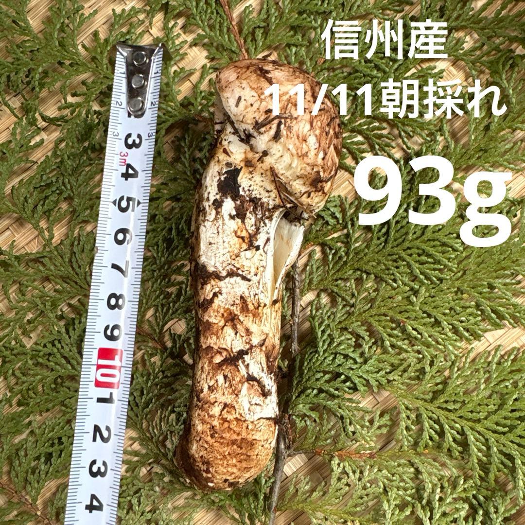 長野県南信州産‼️松茸 93g 11/11朝採れ