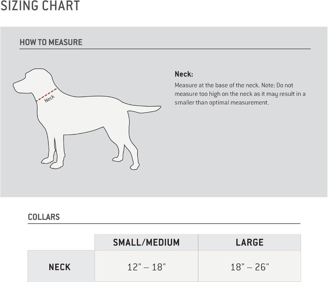【NEW】Carhartt カーハート リード【L】＆首輪【M】赤ワイン 中型犬