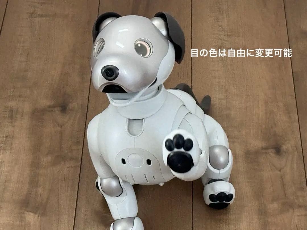 その他 aibo ERS-1000