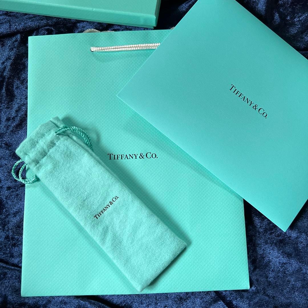 新品未使用　Tiffany & Co. ボールペン ティファニー