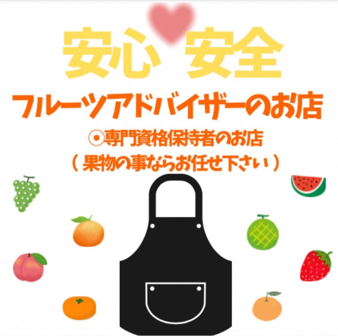 26高知特産 露地栽培 土佐文旦 3L4L文旦 約20kg 大玉 サイズ