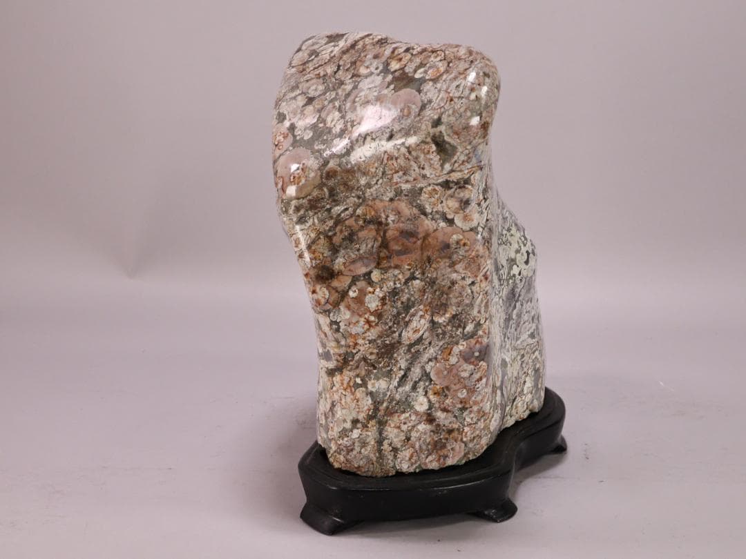 BK216 天然石　鑑賞石　梅花石　花紋石 菊花石 原石 自然石 鉱物 置物