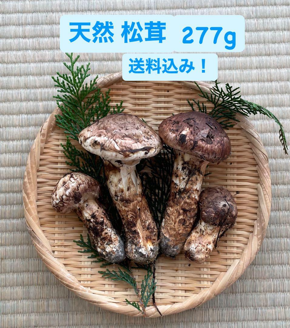 【天然 松茸 マツタケ】277g 送料込み！