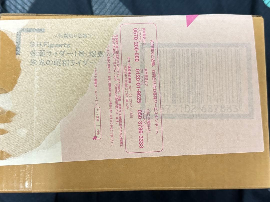 （真骨彫製法） 仮面ライダー1号（桜島Ver.） 栄光の昭和ライダーエディション