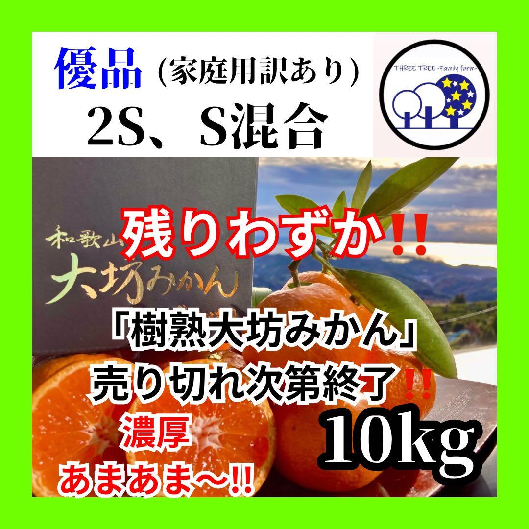 ⑧温州みかん 樹熟大坊みかん 優品(家庭用傷あり)2S、S、10kg