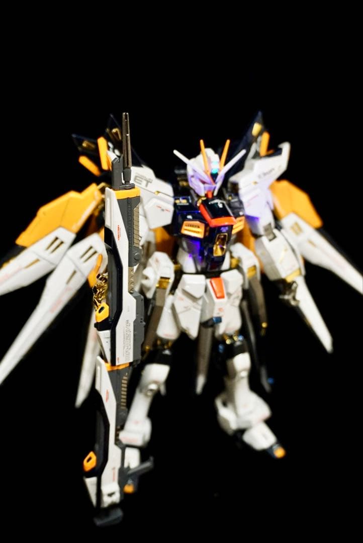 ※正月特価　全塗装RGストライクフリーダム　チタニウムフィニッシュ　ガンプラ