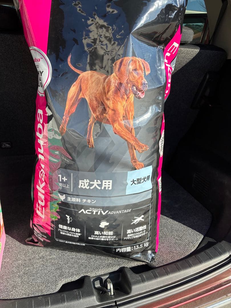 Eukanuba 大型犬用 成犬用 ドライフード 13.5kg