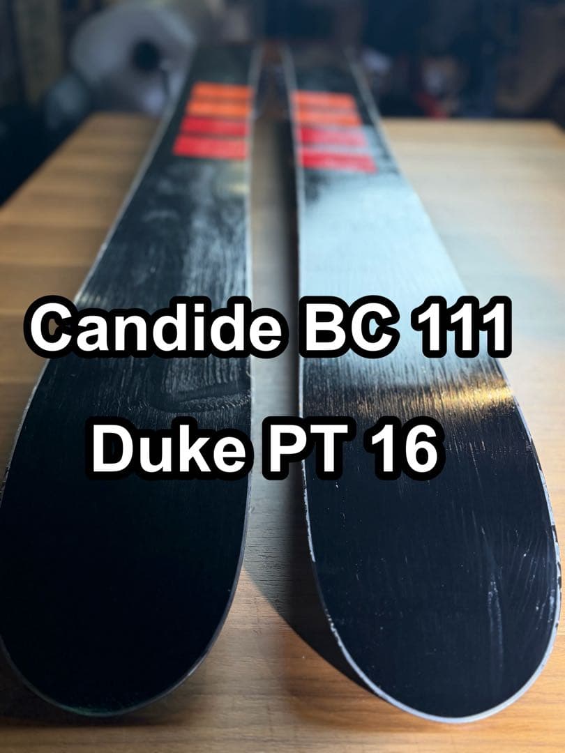 Candide BC 111 + Duke PT 16 バックカントリー 175