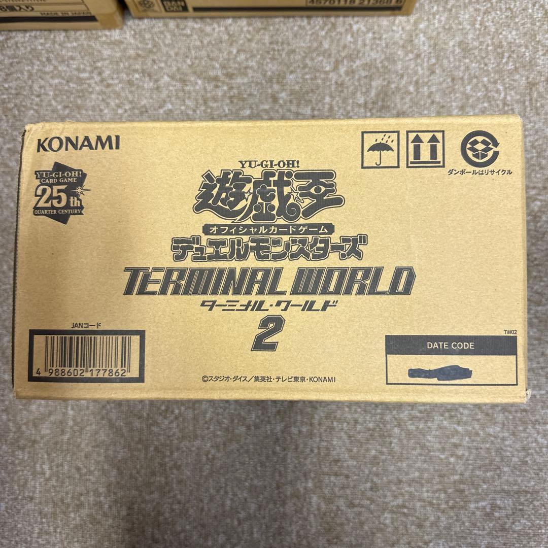 遊戯王TERMINAL WORLD 2 カートン