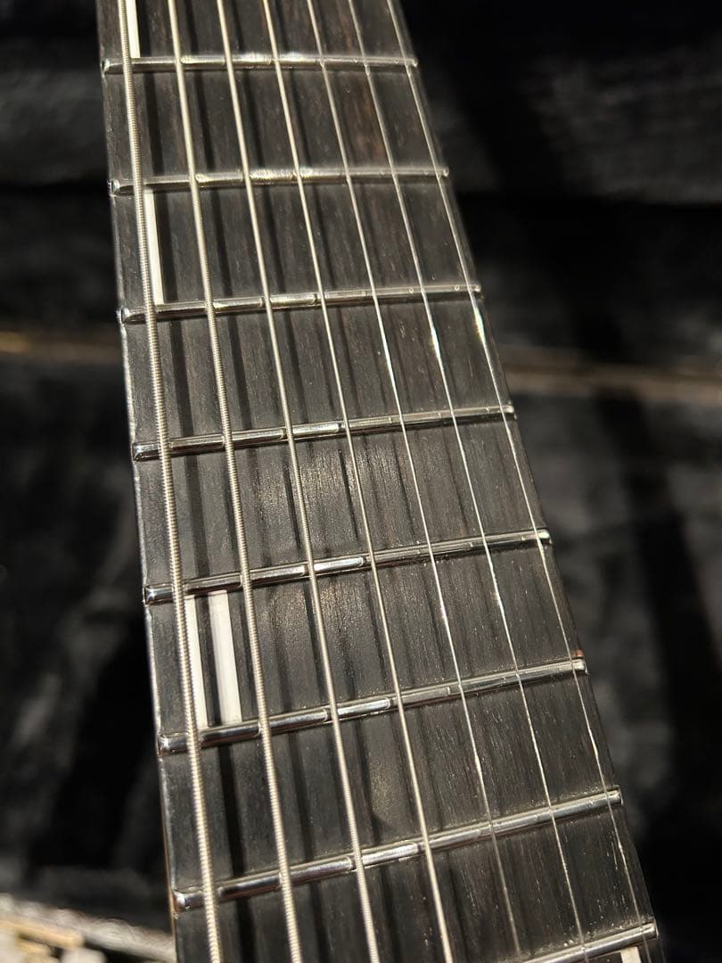 Acacia guitars MEDUSA 7弦ヘッドレス