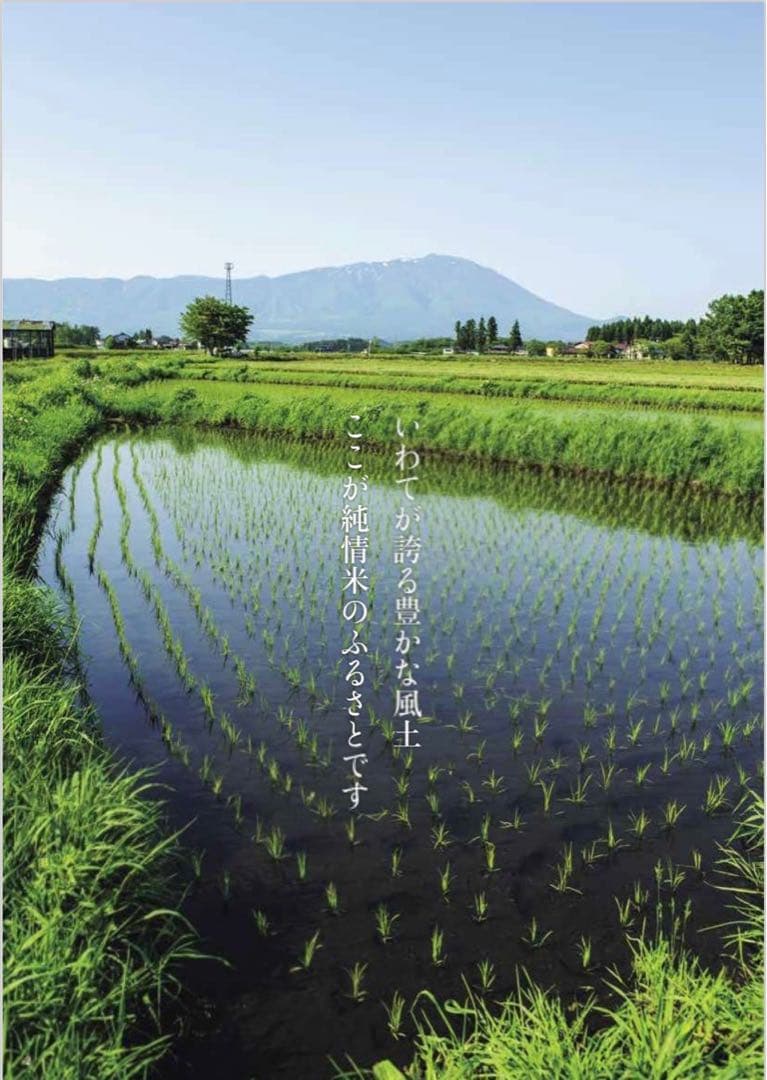 米　特別限定価格！白米【令和7年産岩手県産ひとめぼれ10kg】 (5kg×2)