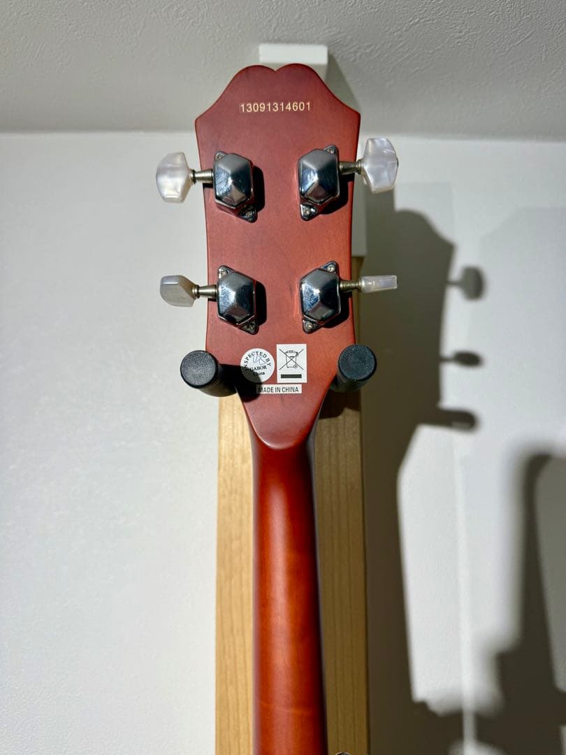 Epiphone 5弦バンジョー