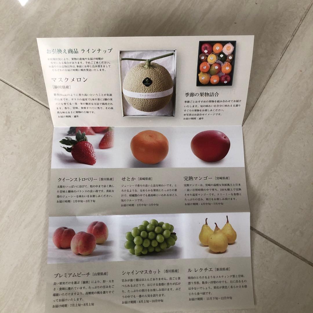 【週末セール】Premium Fruit Gift 千疋屋マスクメロン