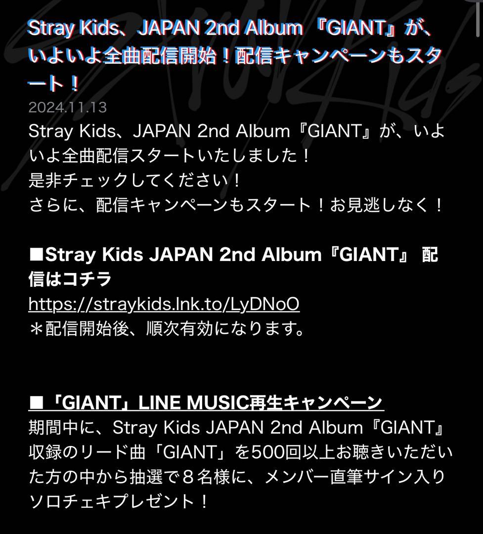 straykids チャンビン ビニ 直筆サイン チェキ 未公開 ポラロイド