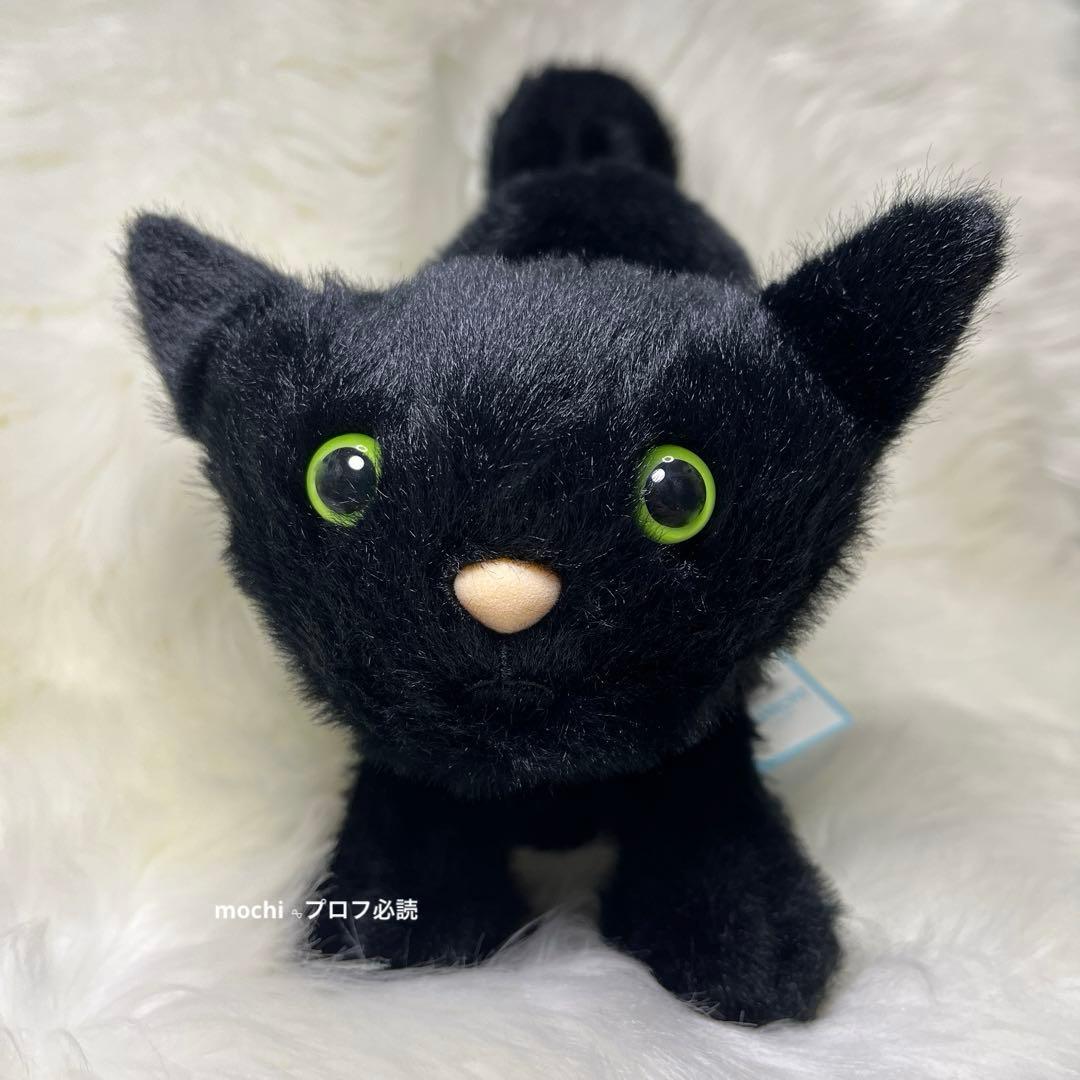  Spookipaws Cat クロネコ ぬいぐるみ 新品