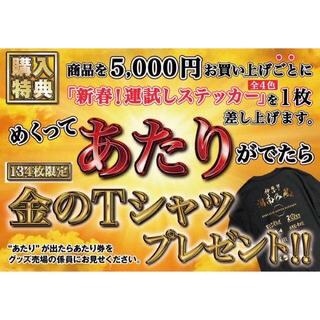134枚限定　湘南乃風「新・春・狂・乱」武道館