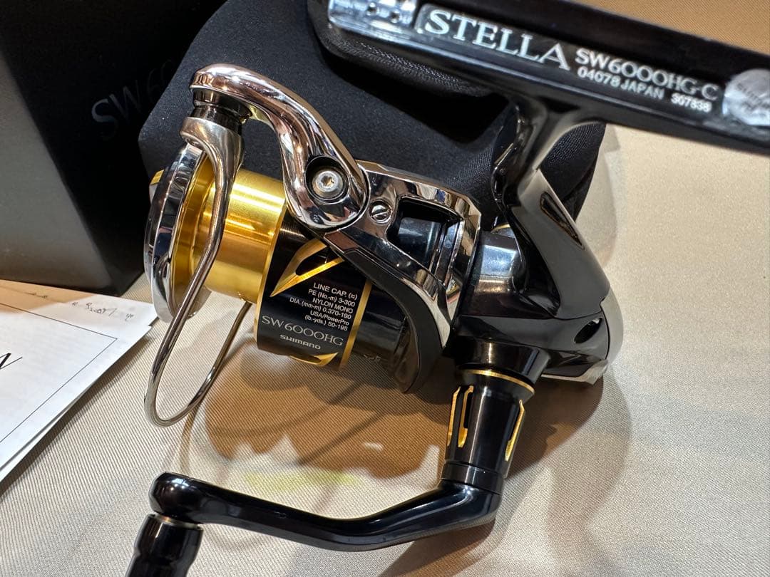 リール SHIMANO 20 STELLA SW 6000HG