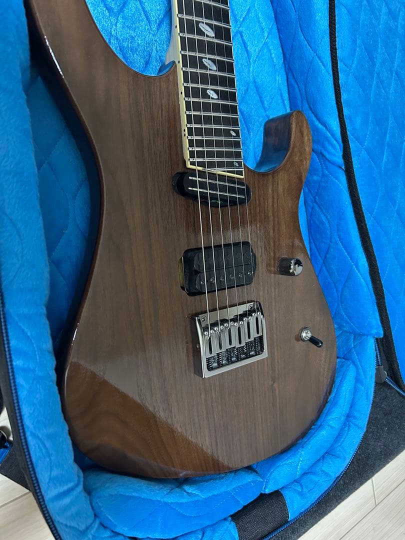 ギター Caparison Horus WB FX EF
