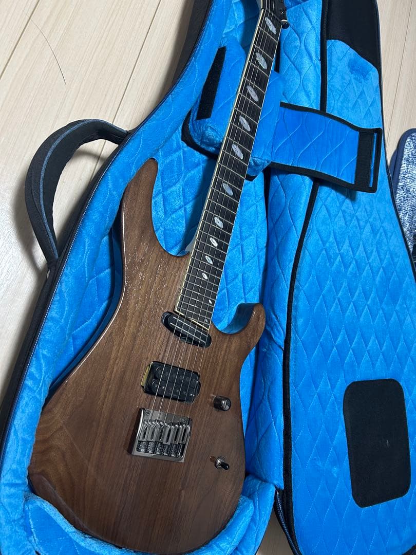 ギター Caparison Horus WB FX EF