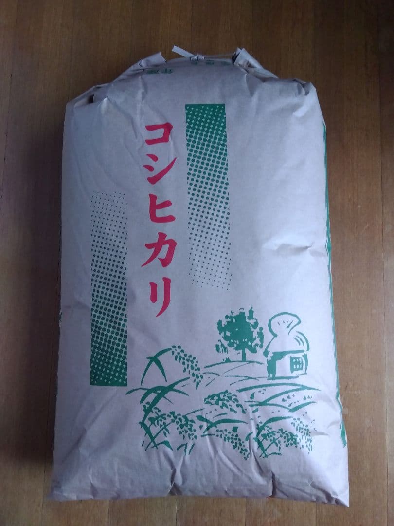 〈送料・精米無料〉令和7年度 新潟県五泉産コシヒカリ玄米30キロ